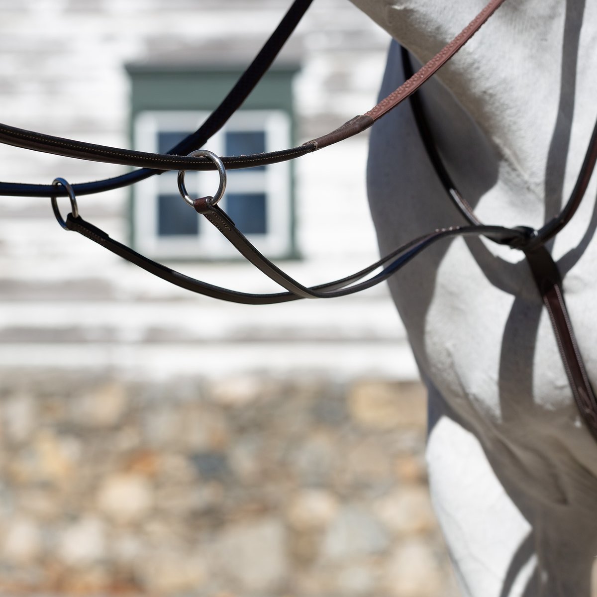 EQUINAVIA Valkyrie Fancy Stitched Running Martingale, Chocolate Brown ...