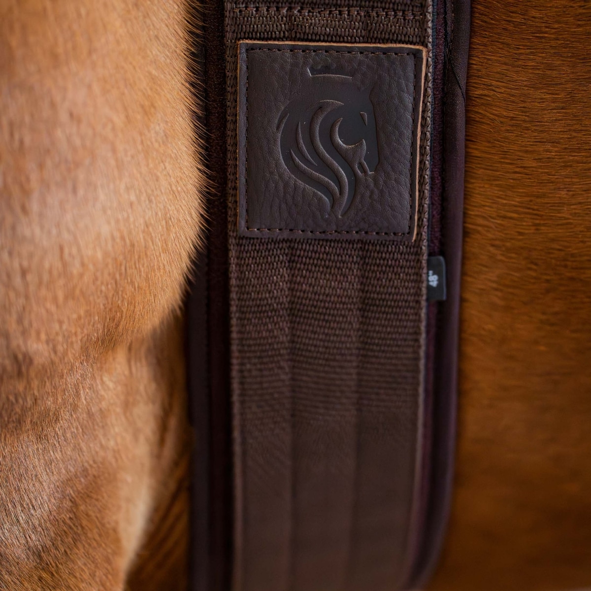 EQUINAVIA Valkyrie Neoprene Non Slip Long Girth, Chocolate Brown, 46-in ...