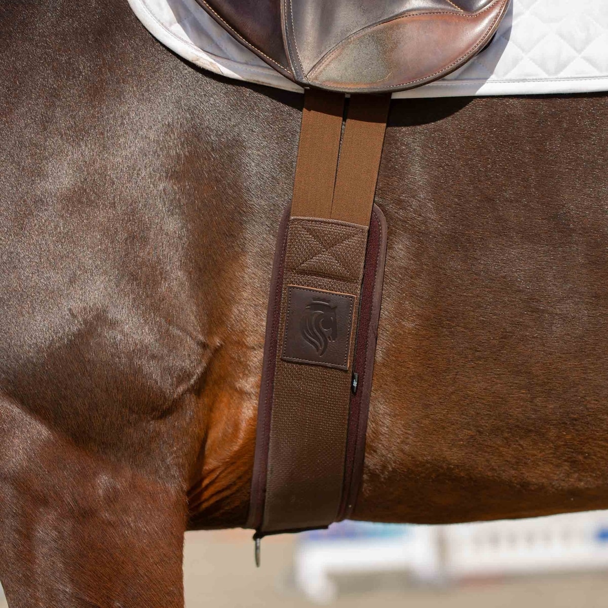 EQUINAVIA Valkyrie Neoprene Non Slip Long Girth, Chocolate Brown, 46-in ...
