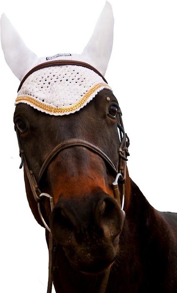 EQUINE COUTURE Horse Fly Bonnet with Gold Chain, White, Pony - Chewy.com