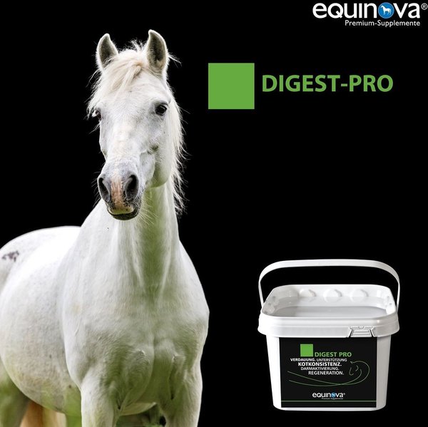EQUINOVA Digest Pro Powder Horse Supplement, 2.2-lb bucket - Chewy.com