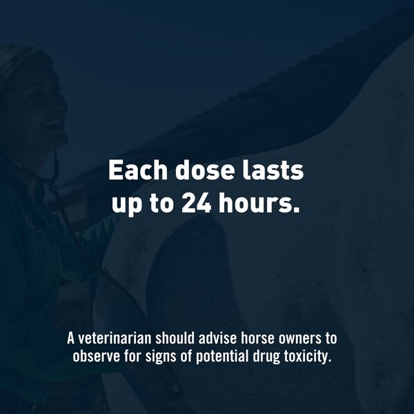 EQUIOXX (Firocoxib) Tablets for Horses, 57 mg - Easy Refills | Chewy Rx