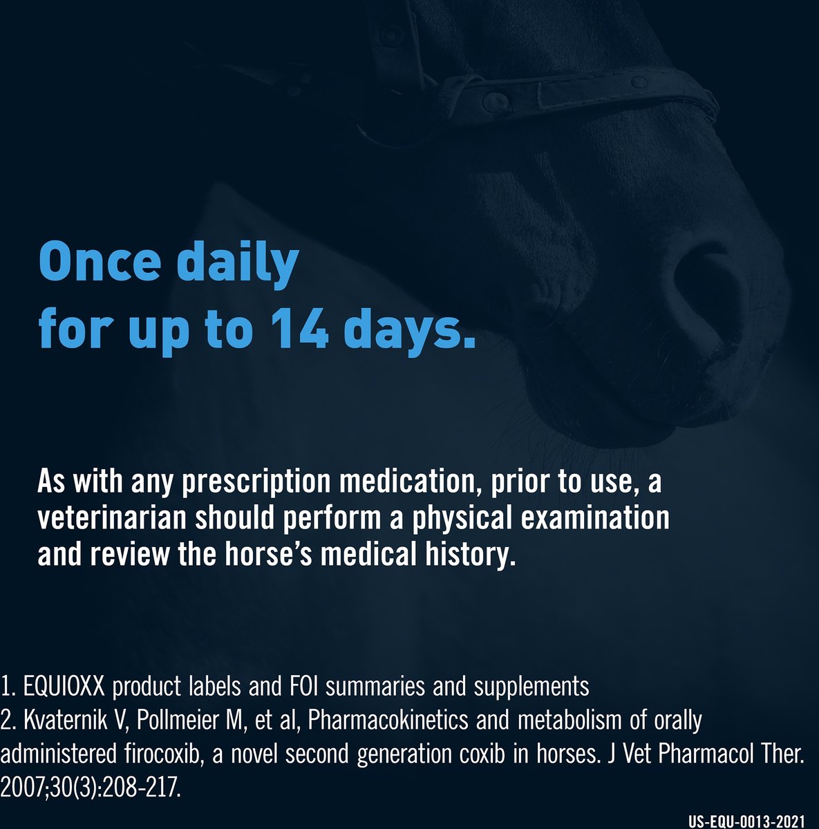 EQUIOXX (Firocoxib) Tablets for Horses, 57 mg - Easy Refills | Chewy Rx