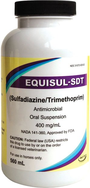 Horse Antibiotics | Chewy