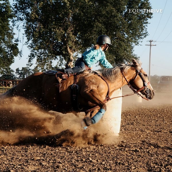EQUITHRIVE Electrolyte Pellets Horse Supplement, 4-lb - Chewy.com