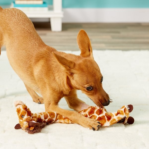 ETHICAL PET Skinneeez Giraffe Stuffing-Free Squeaky Plush Dog Toy, 14 ...