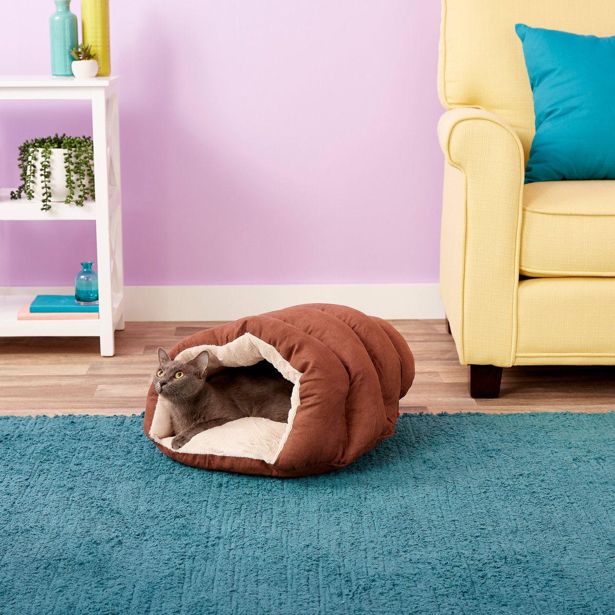 ETHICAL PET Sleep Zone Cuddle Cave Cat & Dog Bed, 22-in, Chocolate - Chewy.com