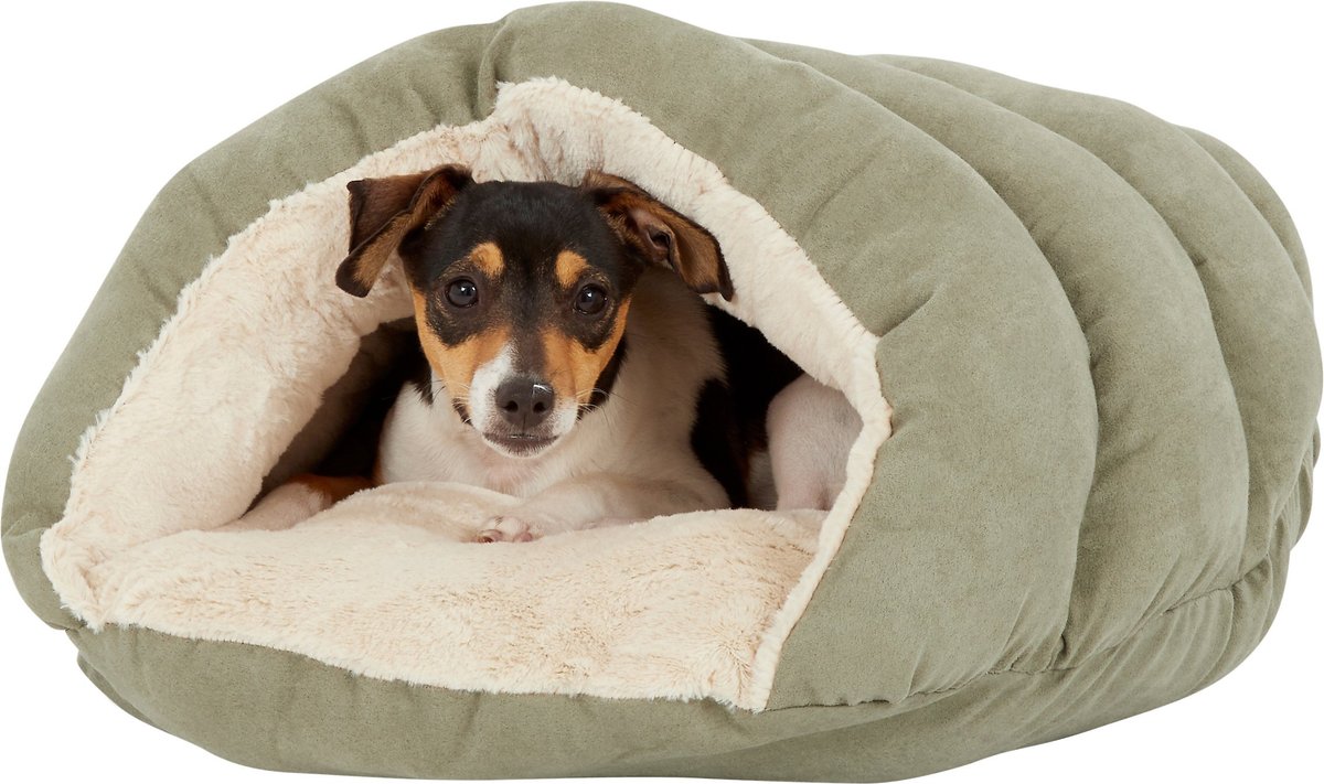 ETHICAL PET Sleep Zone Cuddle Cave Cat & Dog Bed, 22-in, Sage - Chewy.com
