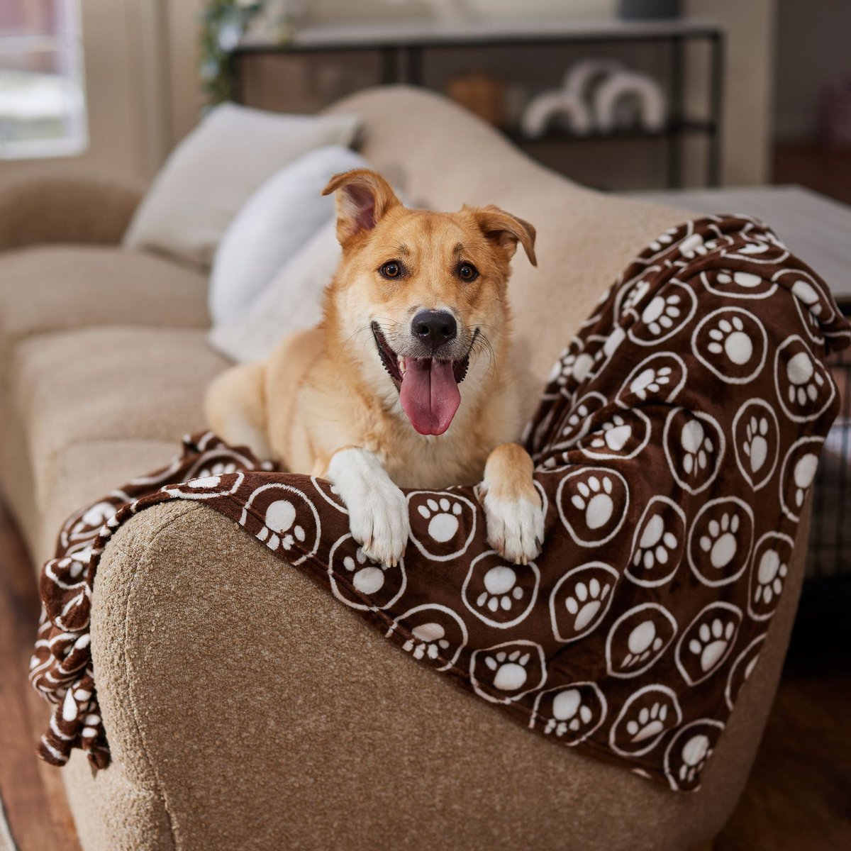 ETHICAL PET Snuggler Patterned Dog Blanket, Chocolate, 60-in - Chewy.com