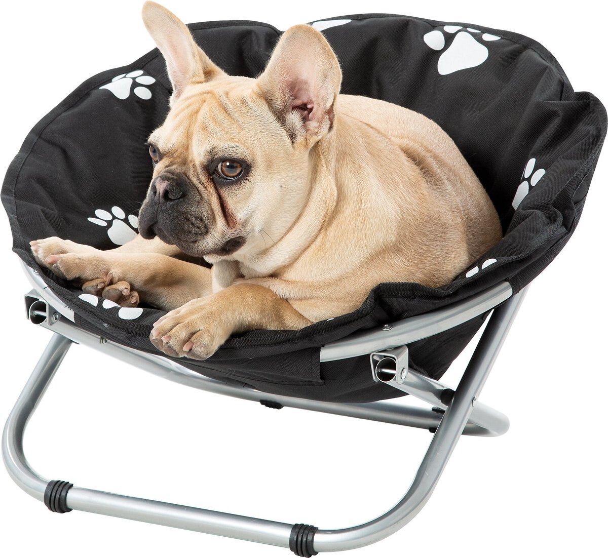 ETNA Round Folding Chair Dog Bed - Chewy.com