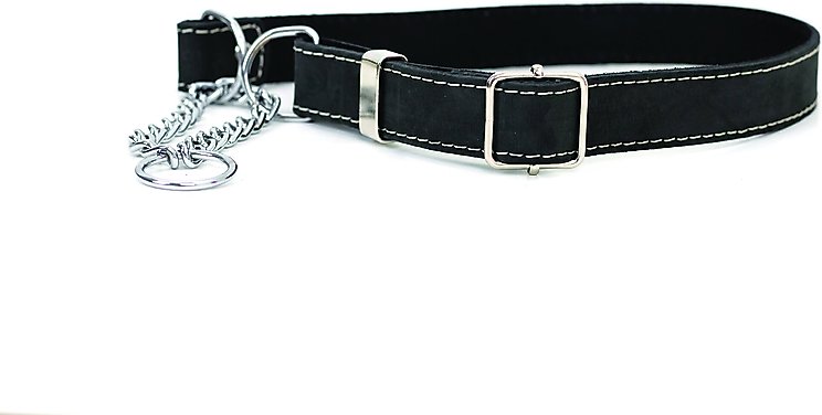 METAL DOG COLLARS (Free Shipping) | Chewy