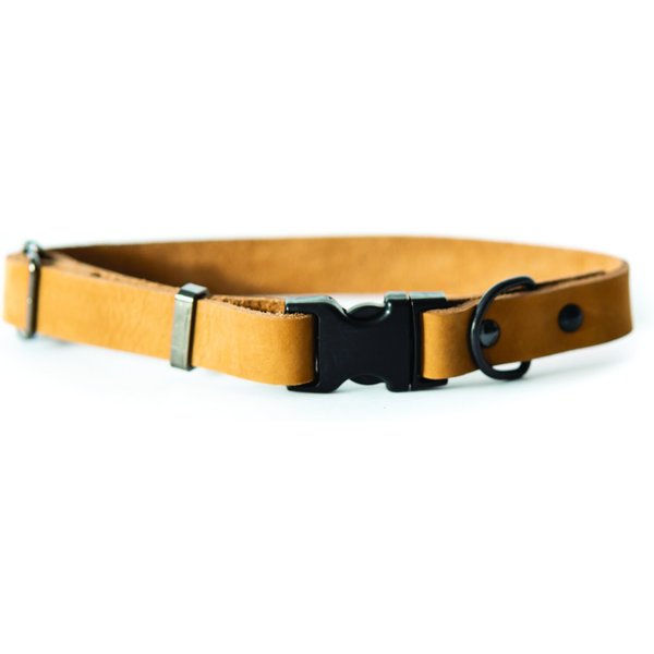 SOFT TOUCH COLLARS Leather Two-Tone Padded Dog Collar, Tan Teal, Medium ...