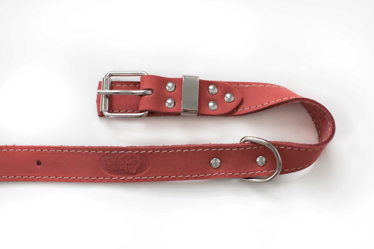 EURO-DOG Traditional Leather Dog Collar, Coral, Large: 14 to 19-in neck ...
