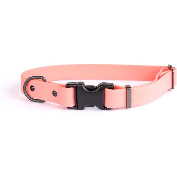 EURO-DOG Waterproof Quick Release PVC Dog Collar, Coral, Small: 10 to ...