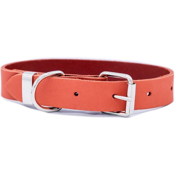 WATER & WOODS Waterproof Hound Dog Collar, Orange, Medium: 22-in neck ...