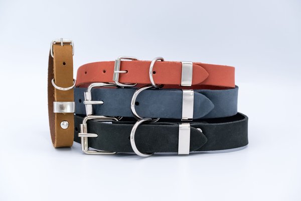 EURO-DOG Zen Style Leather Dog Collar, Coral Reef, Medium - Chewy.com