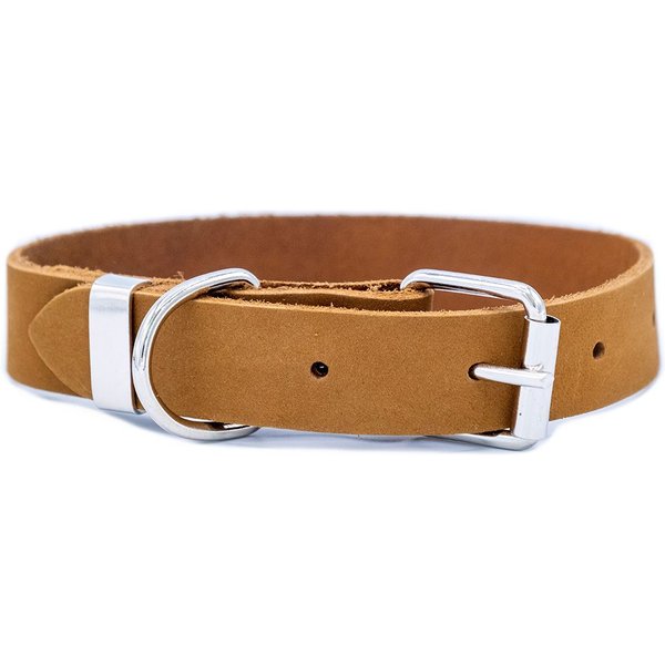 WATER & WOODS Waterproof Hound Dog Collar, Orange, Medium: 22-in neck ...