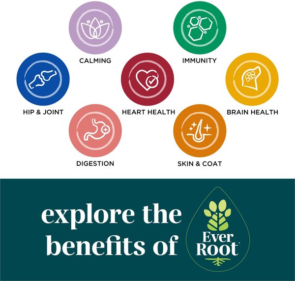 EVERROOT By Purina Skin & Coat Soft Chews Supplement for Dogs, 10.6-oz ...