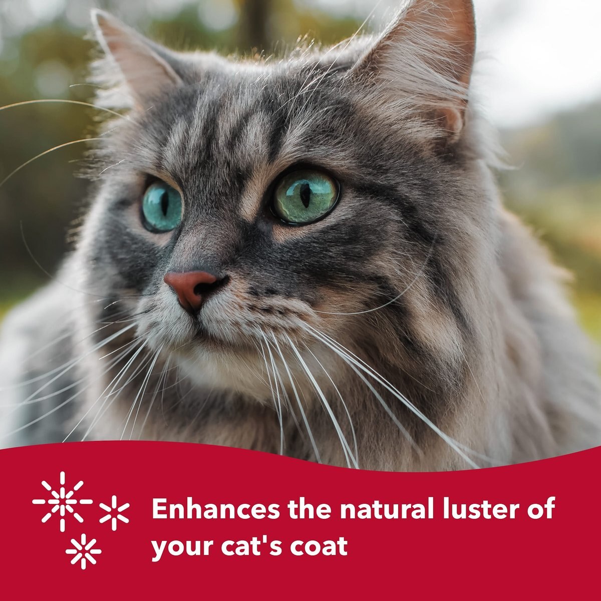 EVOLUTION Self-Cleaning Dog Slicker Brush, X-Small - Chewy.com