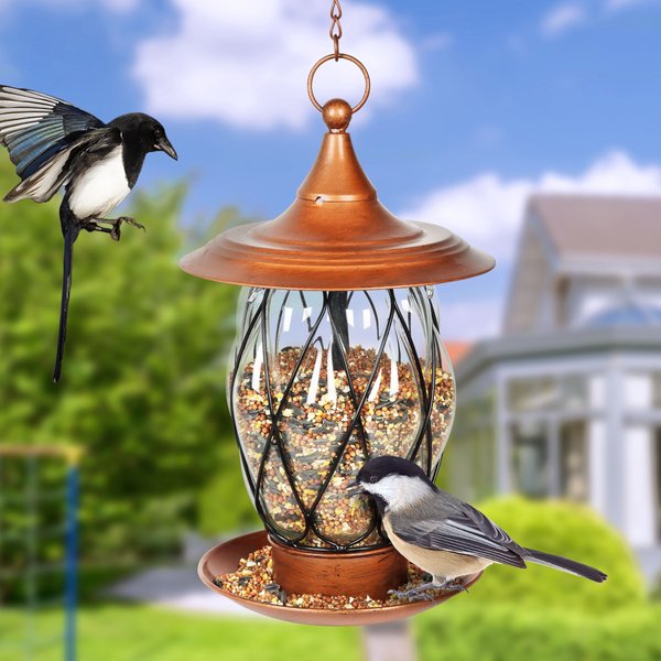 Discontinued - EXHART Solar Bronze Metal & Glass Bird Feeder - Chewy.com