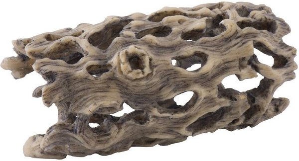 EXO TERRA Cholla Cactus Skeleton Reptile Terrarium Plant, Small - Chewy.com