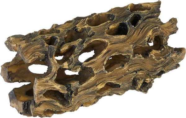 EXO TERRA Cholla Cactus Skeleton Reptile Terrarium Plant, Small - Chewy.com