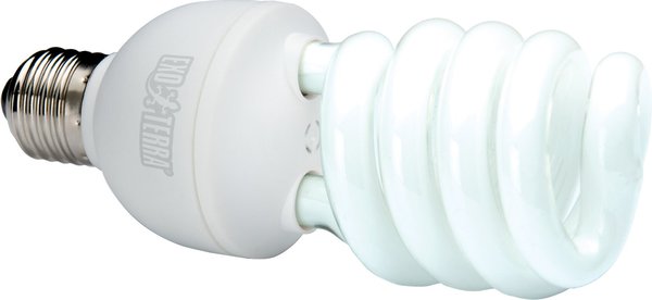 EXO TERRA Desert UVB 150 Reptile Bulb, 13-w - Chewy.com