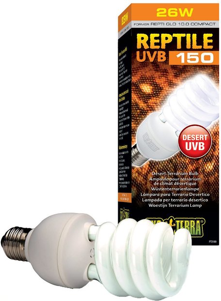 Reptile Uv & Uvb Light | Chewy