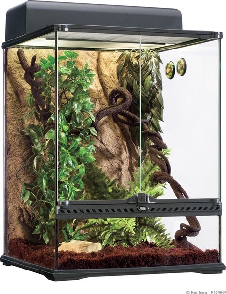 EXO TERRA Rainforest Reptile Habitat Kit, Medium - Chewy.com