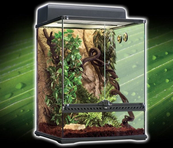 EXO TERRA Rainforest Reptile Habitat Kit, Medium - Chewy.com