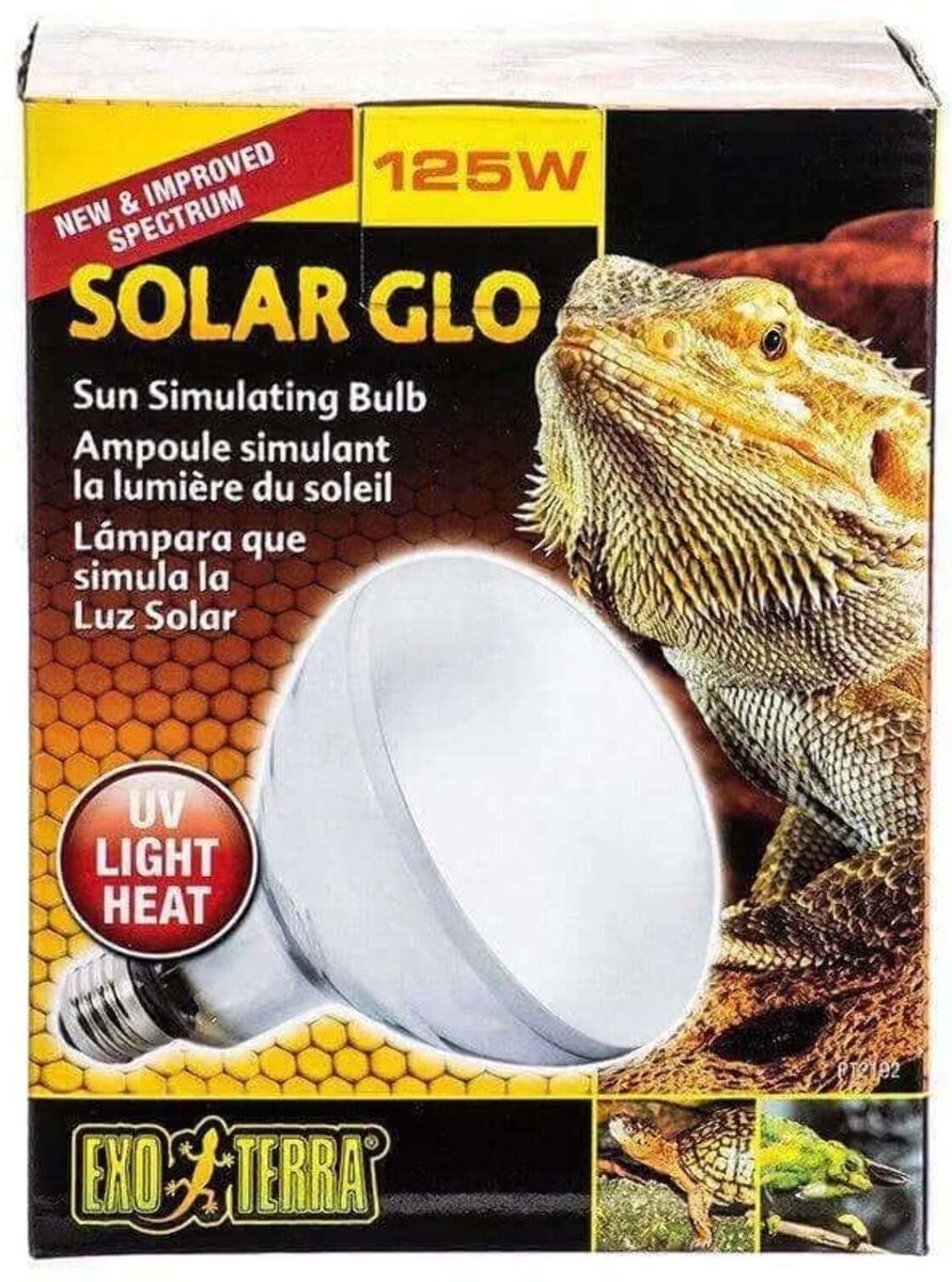 EXO TERRA Solar Glo All in One Reptile Bulb, 125-w - Chewy.com
