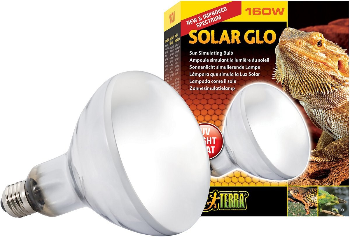 EXO TERRA Solar Glo All in One Reptile Bulb, 160-w - Chewy.com