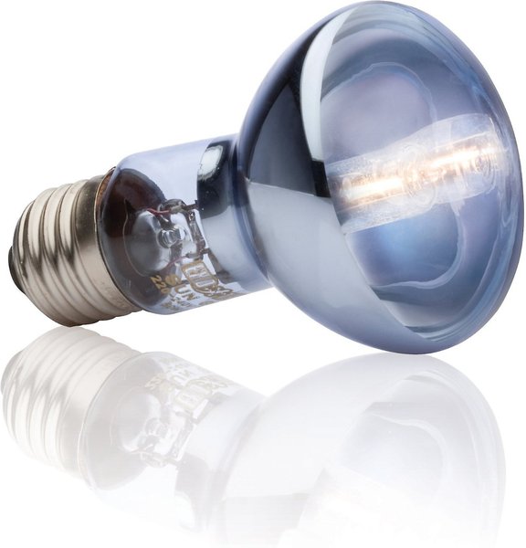 EXO TERRA Sun Glo Halogen Daylight Reptile Lamp, 100-w bulb - Chewy.com