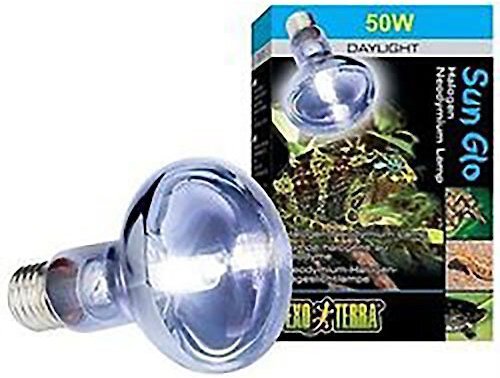 EXO TERRA Sun Glo Halogen Daylight Reptile Lamp, 50-w bulb, 3 count ...