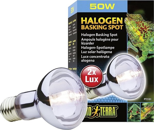 EXO TERRA Sun Glo Halogen Daylight Reptile Lamp, 50-w bulb - Chewy.com