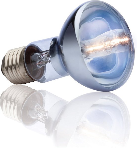 EXO TERRA Sun Glo Halogen Daylight Reptile Lamp, 50-w bulb - Chewy.com