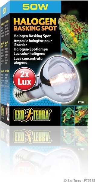 EXO TERRA Sun Glo Halogen Daylight Reptile Lamp, 50-w bulb - Chewy.com