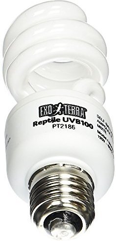 EXO TERRA Tropical UVB 100 Reptile Bulb, 13-w - Chewy.com