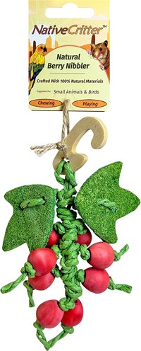 Exotic Nutrition - Free shipping | Chewy