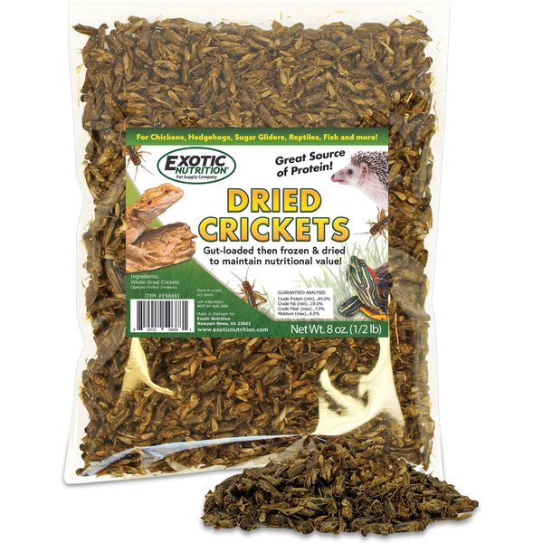 EXOTIC NUTRITION Dried Crickets Small Pet Treats, 8-oz bag - Chewy.com