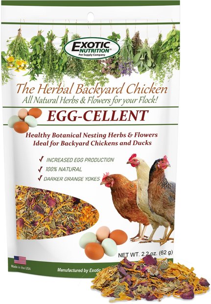 Chicken Vitamins & Supplements | Chewy