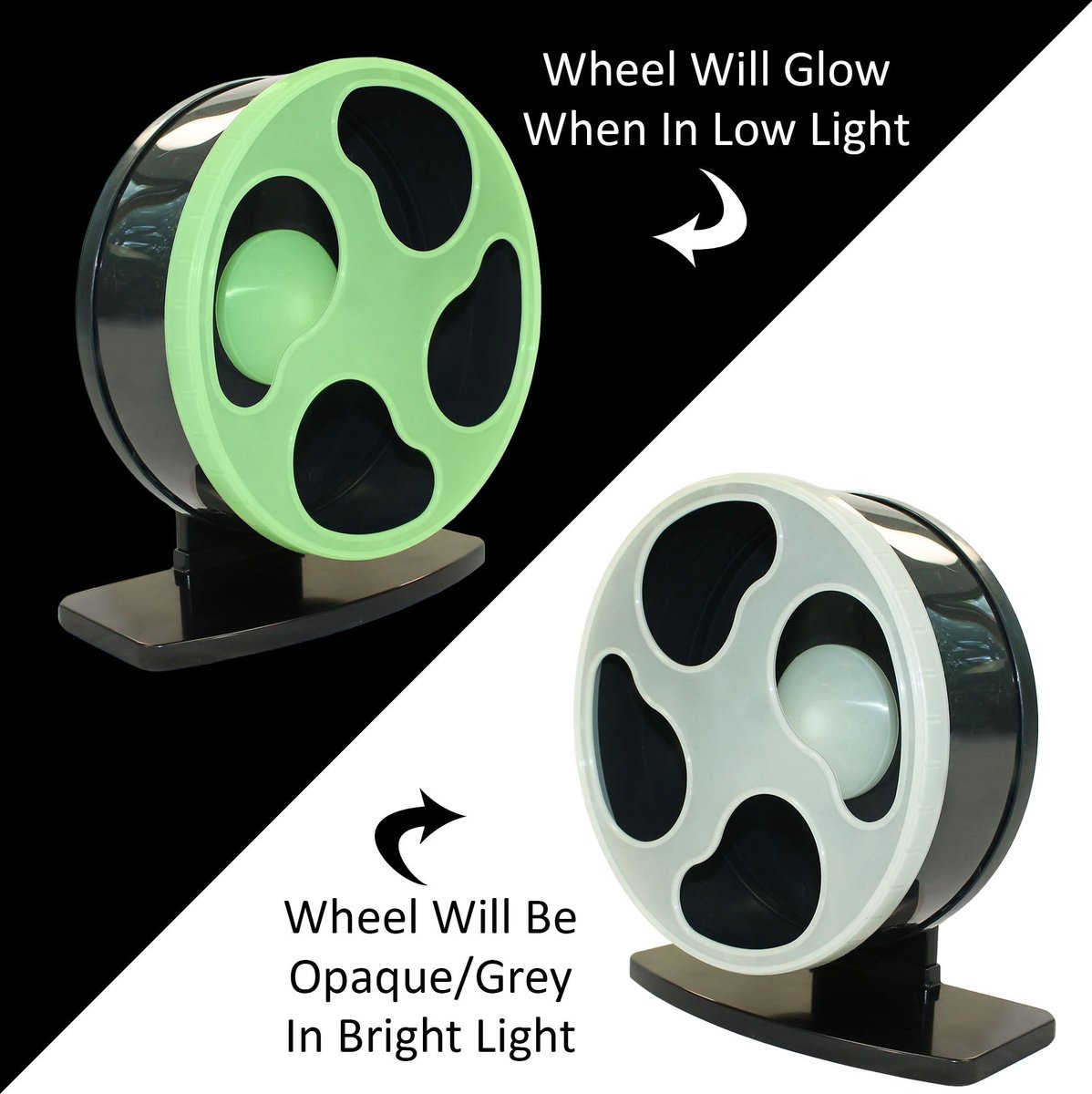 EXOTIC NUTRITION Moon Runner Silent Hamster Exercise Wheel - Chewy.com