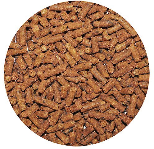 EXOTIC NUTRITION Premium Skunk Diet Food, 5-lb bag - Chewy.com