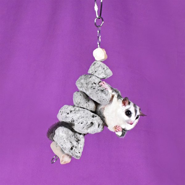 EXOTIC NUTRITION Pumice Hanging Sugar Glider & Mouse Chew Toy - Chewy.com