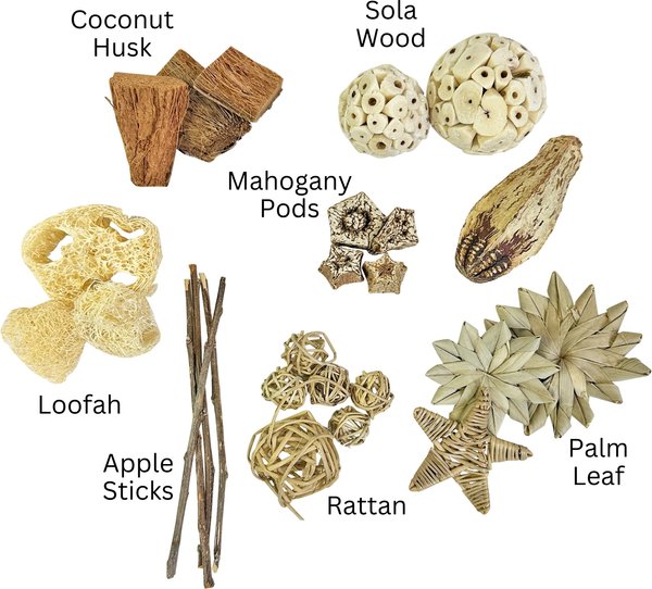 EXOTIC NUTRITION Signature Chew Value Pack Small Pet Chew Toy - Chewy.com