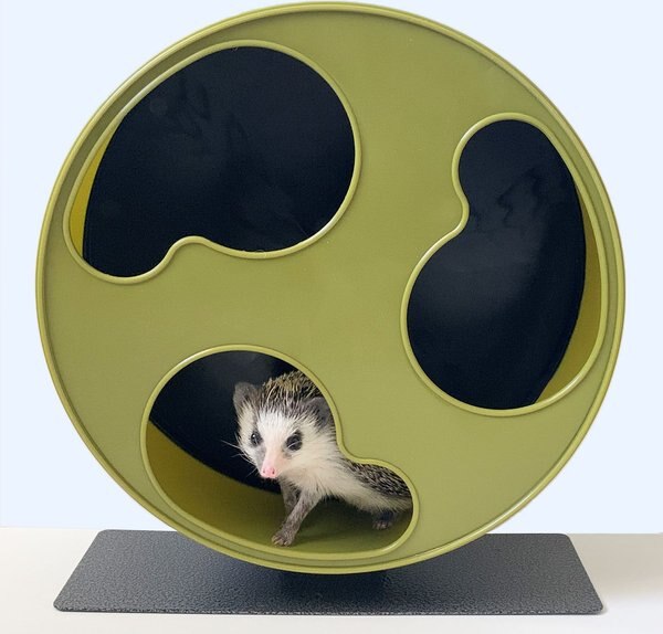 EXOTIC NUTRITION Silent Runner Small Animal Exercise Wheel, Green, Wide ...