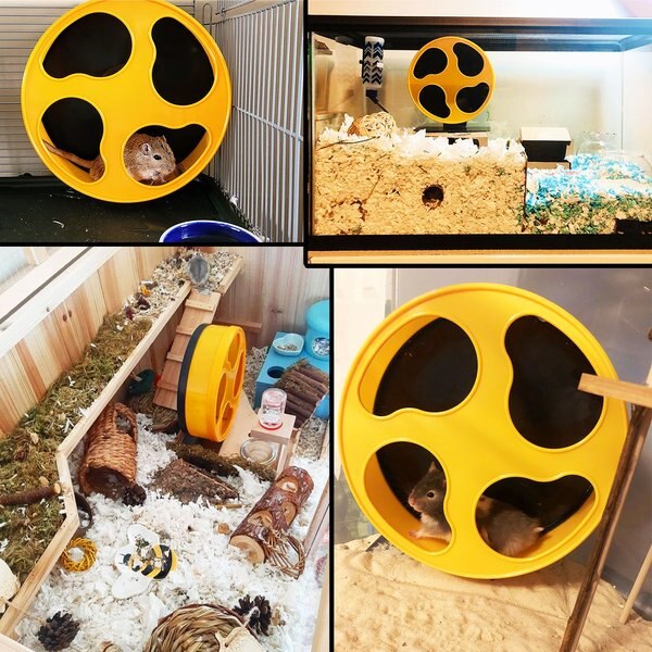 EXOTIC NUTRITION Silent Runner Small Animal Exercise Wheel, Yellow ...