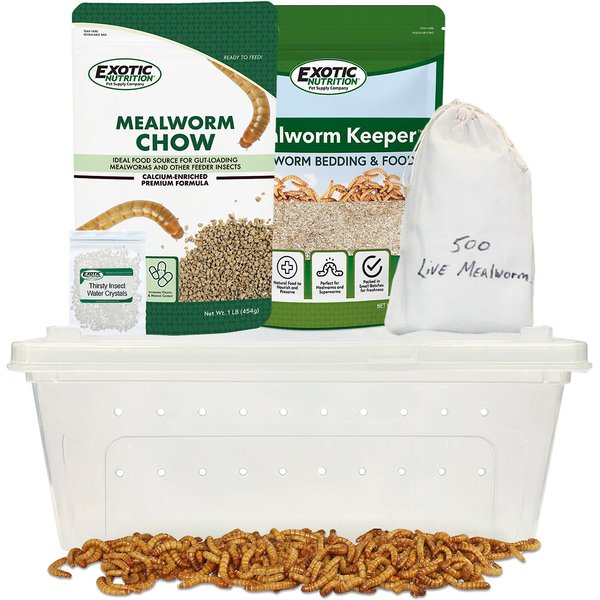EXOTIC NUTRITION Hedgehog Food Starter Kit - Chewy.com