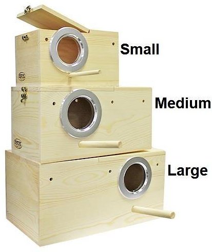 EXOTIC NUTRITION Small Animal Nest Box, Medium - Chewy.com