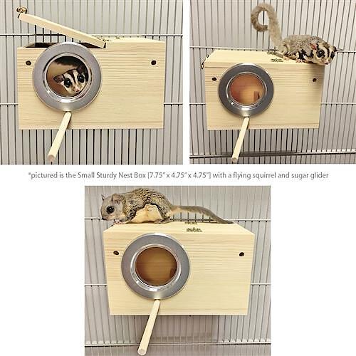 EXOTIC NUTRITION Small Animal Nest Box, Medium - Chewy.com